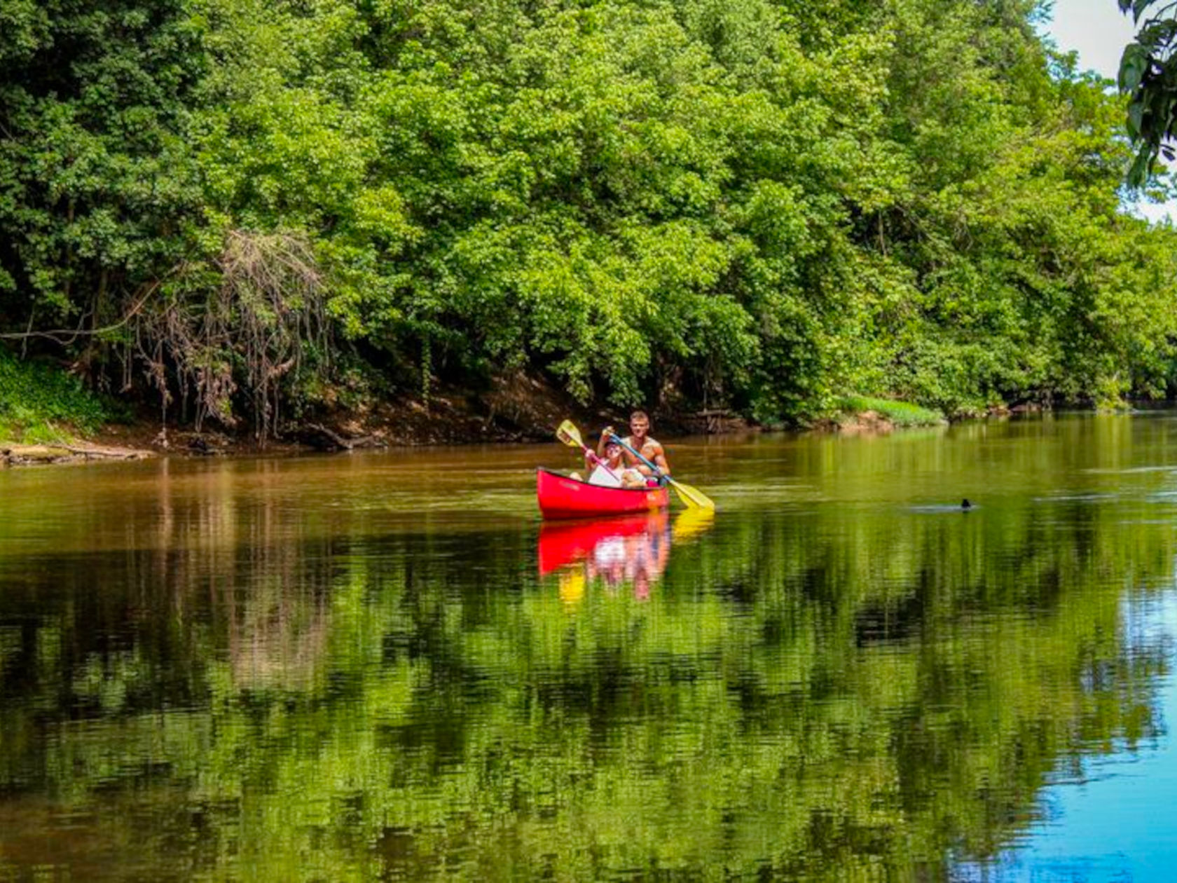 Experience Hocking Hills - 1st Choice Lodging